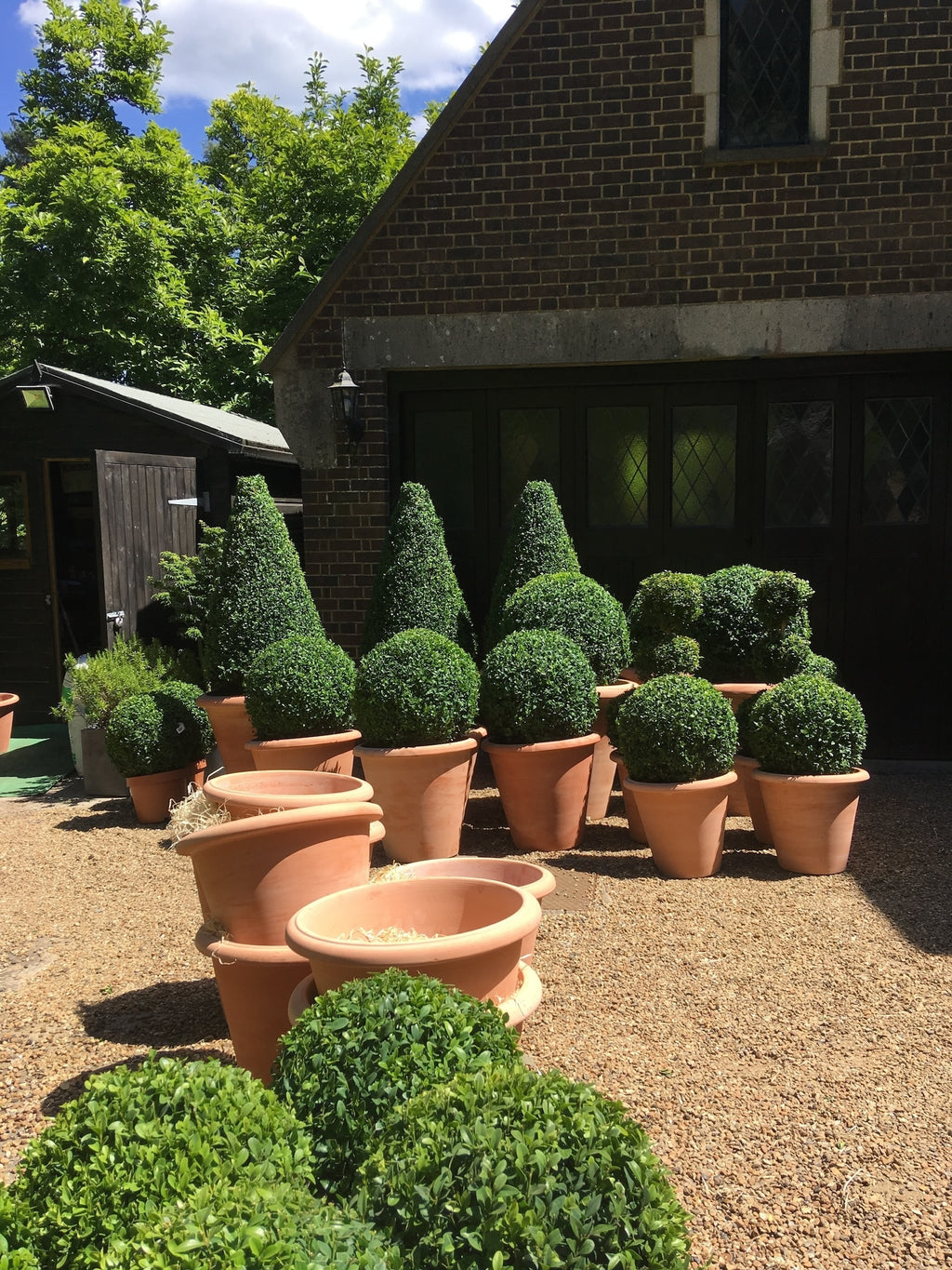 Pots and Planters – Terrace Gardener