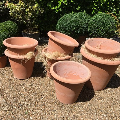 Italian / Cretan – Terrace Gardener